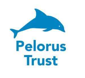 Partner with Us - Special Olympics New Zealand